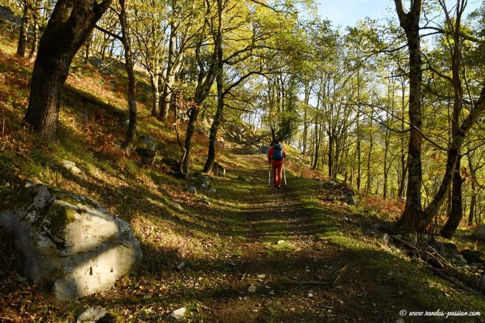 Le Béout: vue panoramique sur Lourdes
