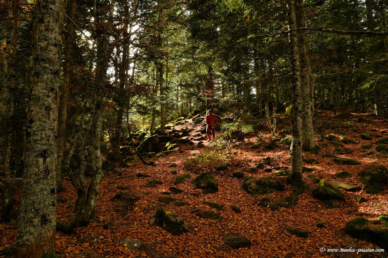 L'Étang de Comte - Randos passion