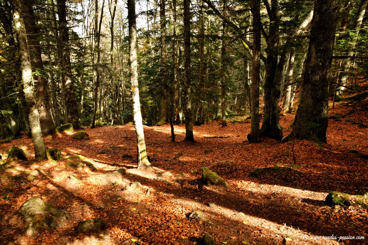 L'Étang de Comte - Randos passion